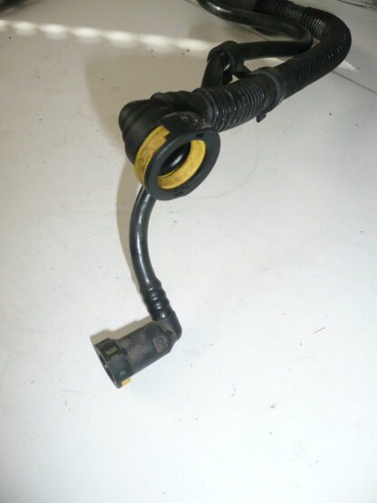 Tubos de escape Citroën Peugeot 1192T6 | A24 España